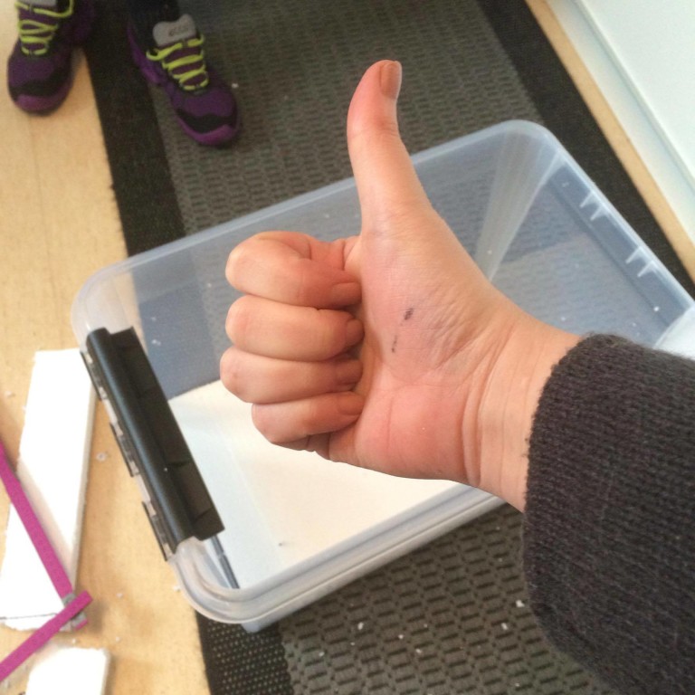 Isolerat katthus - latmansversionen - Kattproblem