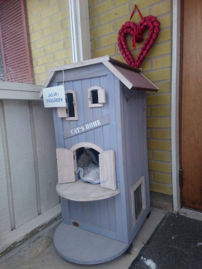 Lena-Lena har egna katthus, såklart! - Kattproblem