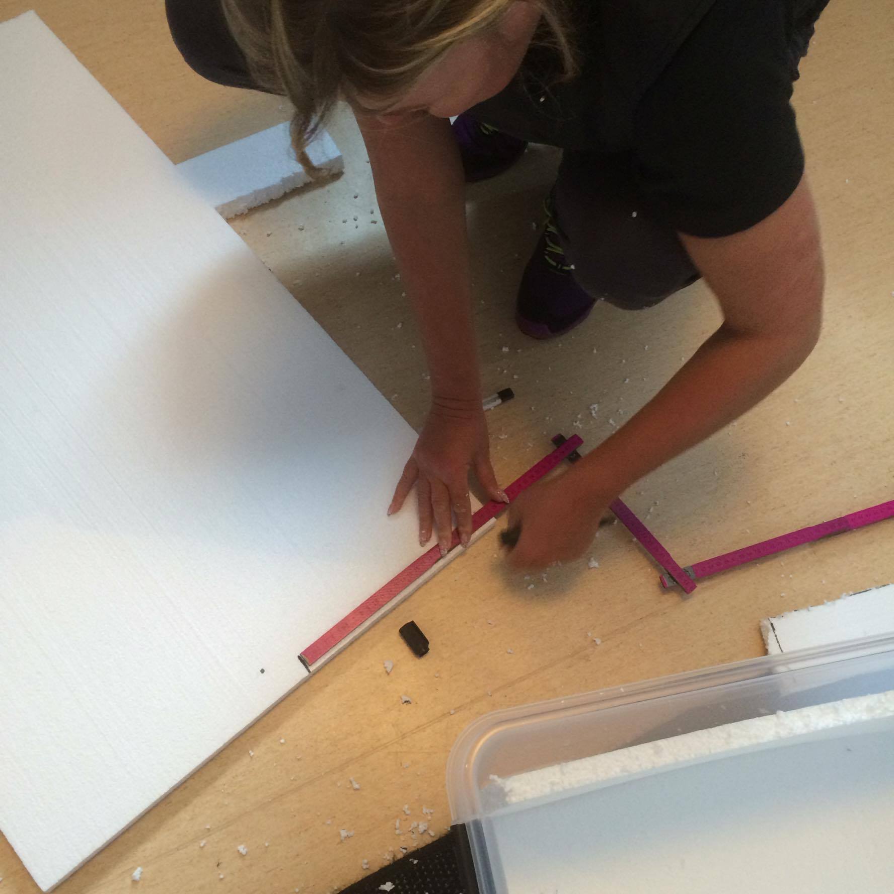 Isolerat katthus - latmansversionen - Kattproblem