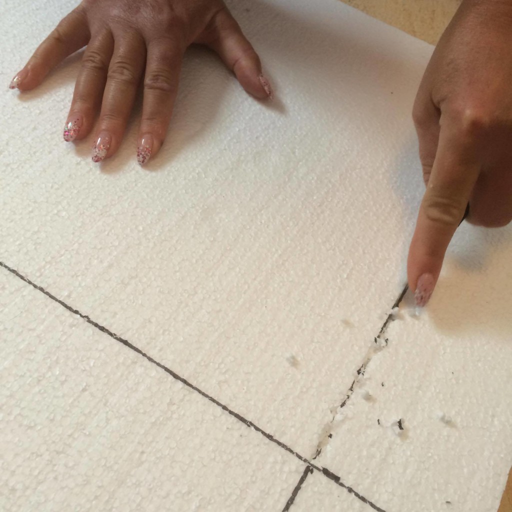 Isolerat katthus - latmansversionen - Kattproblem