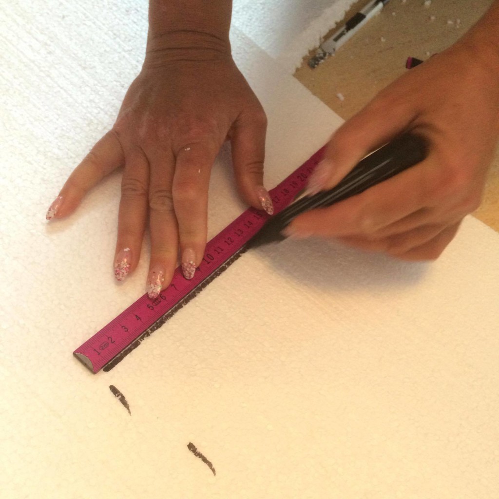 Isolerat katthus - latmansversionen - Kattproblem