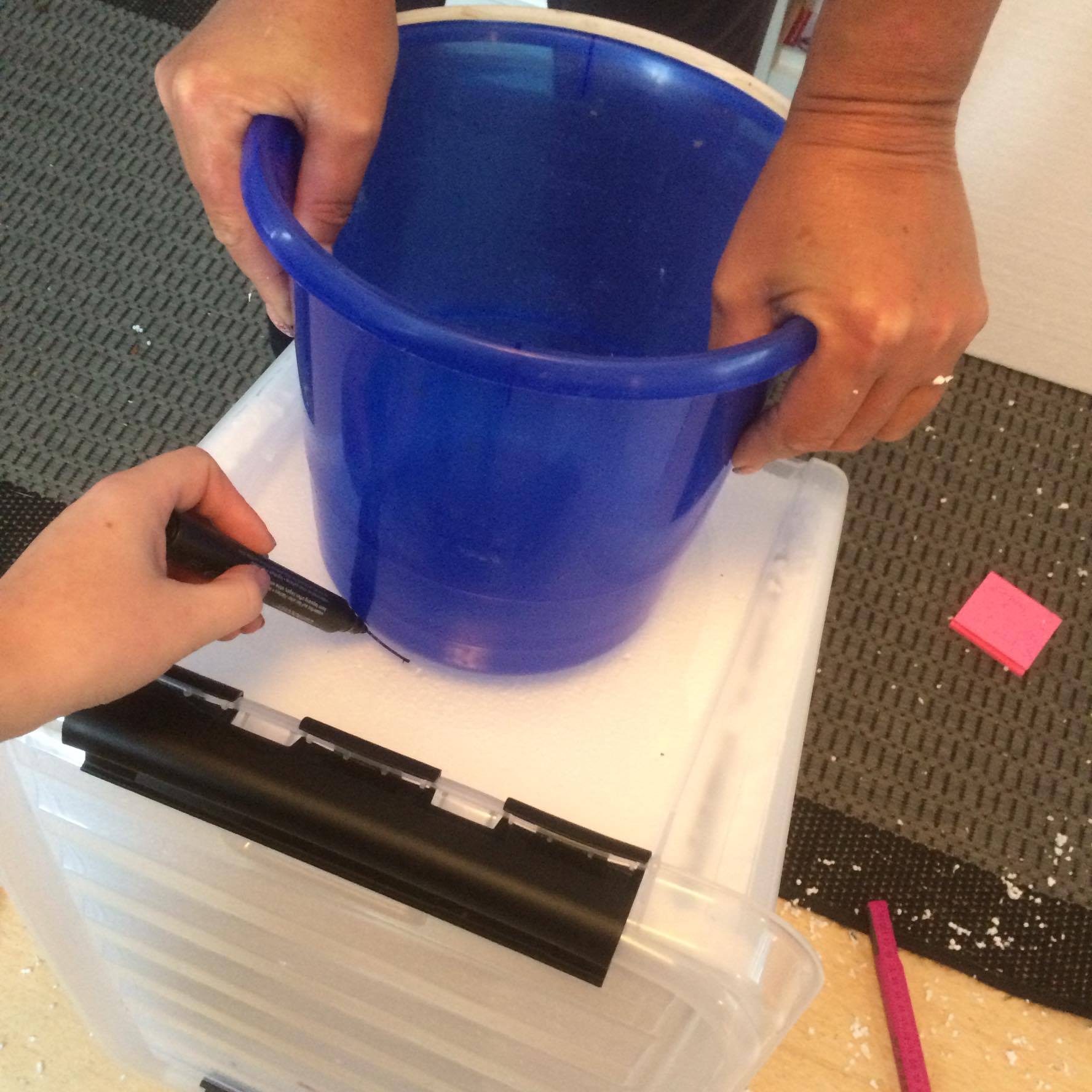 Isolerat katthus - latmansversionen - Kattproblem